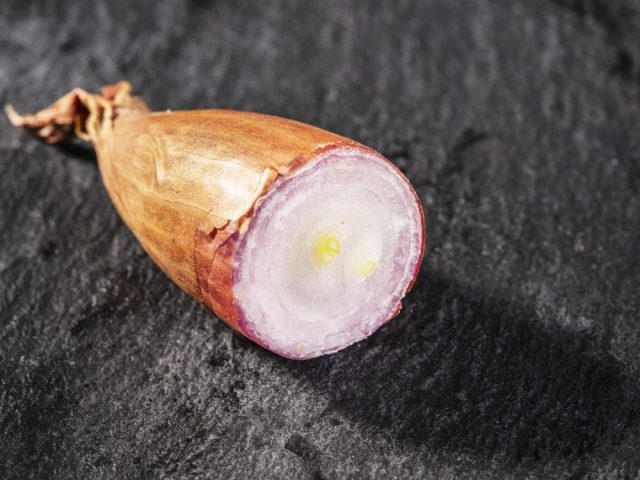 Receta de pasta con salsa de queso azul | Fácil | Karime.es